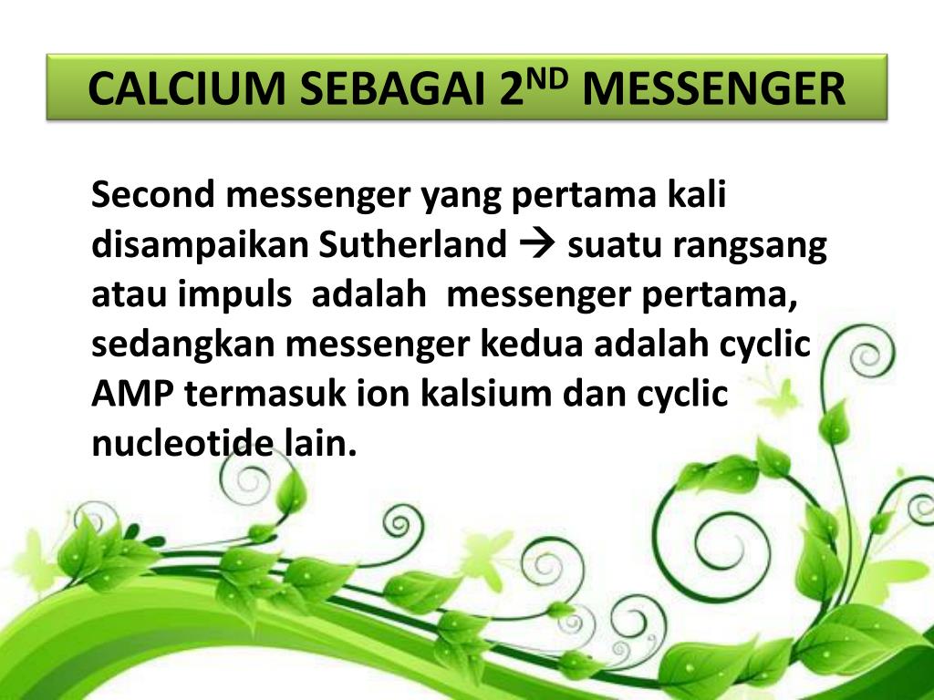 PPT - BIOKIMIA ADAPTASI TUMBUHAN PowerPoint Presentation, free download ...