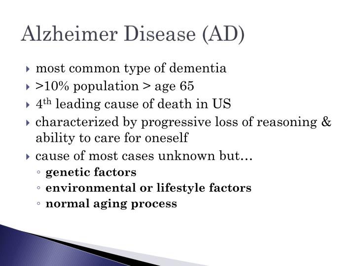 PPT - The brain PowerPoint Presentation - ID:2280029