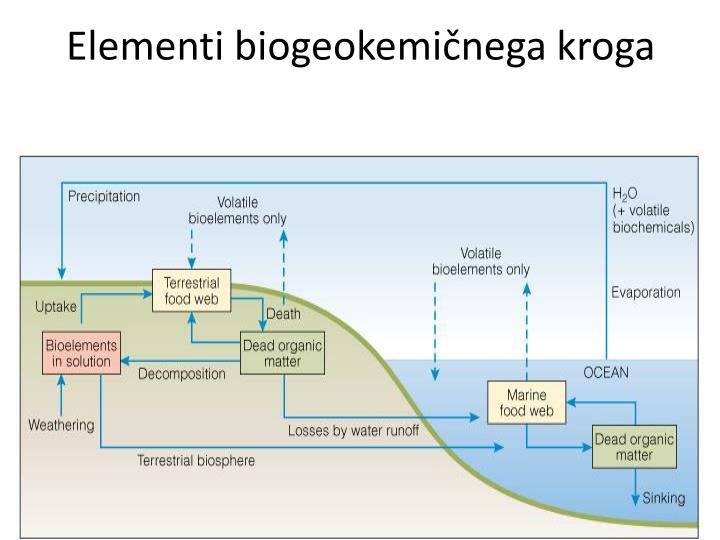 PPT - 1. poglavje PowerPoint Presentation - ID:2280083