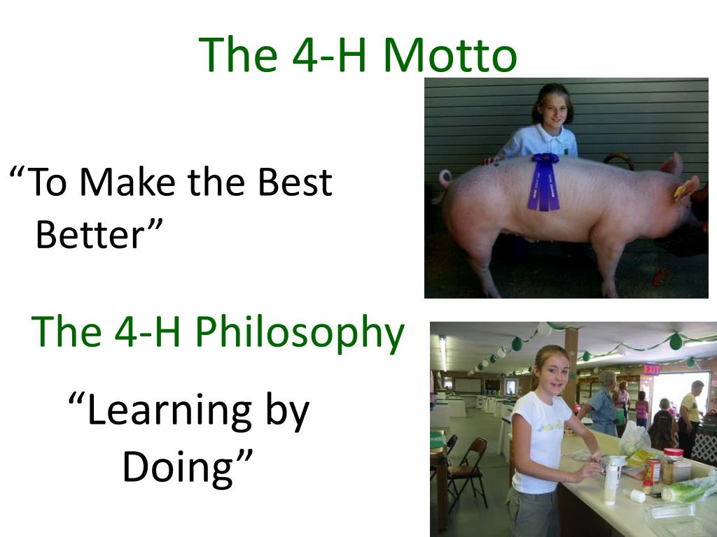 PPT - WSU CHELAN-DOUGLAS COUNTIES 4-H LEADER TRAINING PowerPoint ...