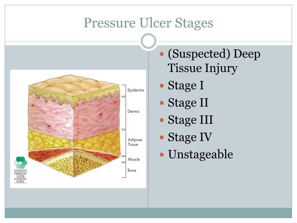 PPT - NRS 103 Skin, Hair, and Nails Chapter 9 PowerPoint Presentation ...