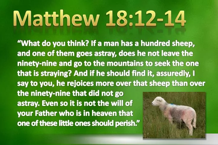 PPT - Matthew 18:12-14 PowerPoint Presentation, free download - ID:2280856