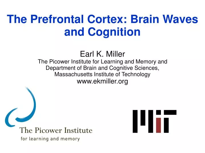 PPT - The Prefrontal Cortex: Brain Waves and Cognition Earl K. Miller ...