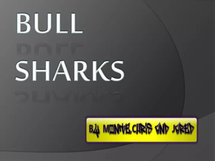 PPT - BULL SHARKS PowerPoint Presentation, free download - ID:2281495