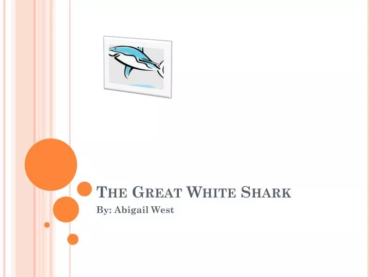 PPT - The Great White Shark PowerPoint Presentation, free download - ID ...
