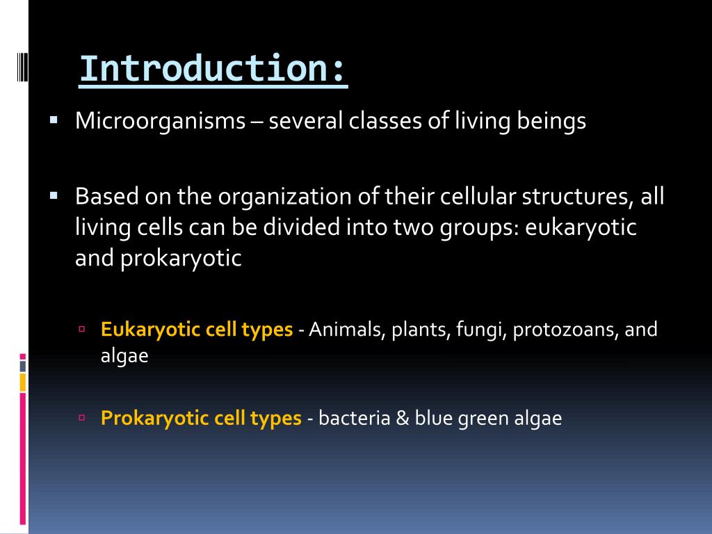 Ppt Bacteria Morphology And Classification Powerpoint Presentation