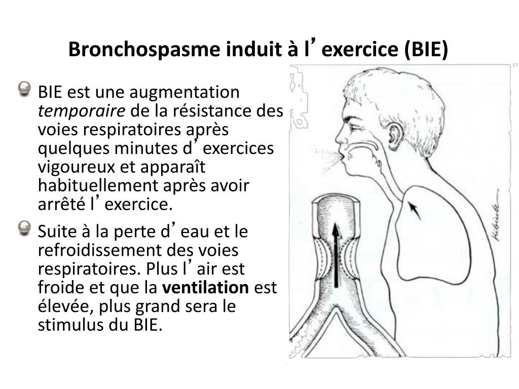PPT - Principes de la physiologie de l’exercice et évaluation de l ...
