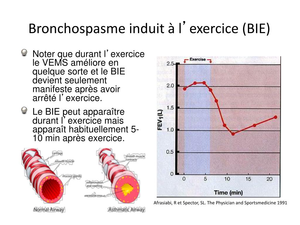 PPT - Principes de la physiologie de l’exercice et évaluation de l ...