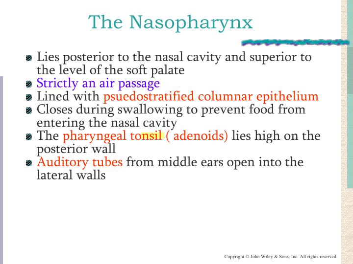 PPT - Chapter 23 PowerPoint Presentation - ID:2282434