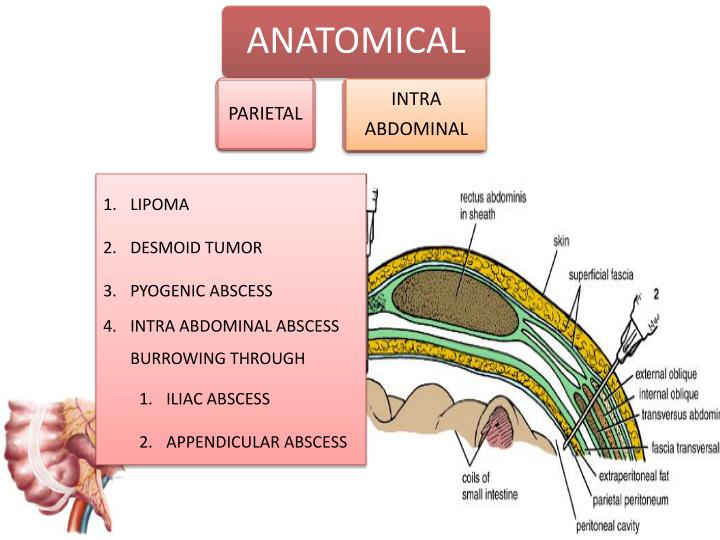 Iliac Fossa