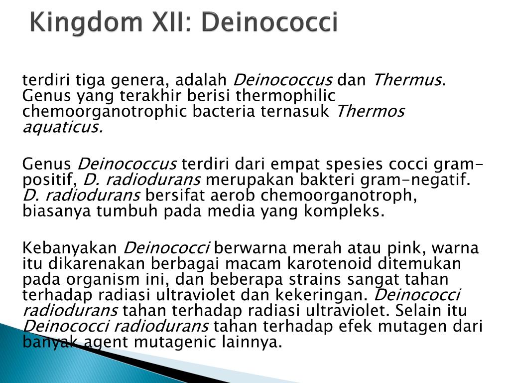 PPT - Karakteristik utama, diversitas dan peran agro-fungsional Bakteri ...
