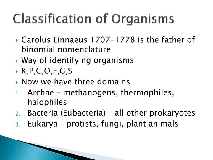 PPT - Classification of Organisms PowerPoint Presentation, free ...