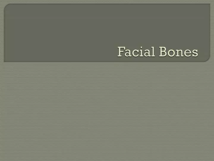 PPT - Facial Bones PowerPoint Presentation, free download - ID:2282591