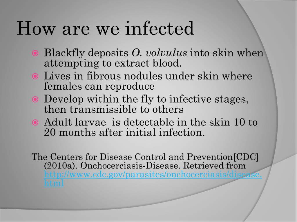 PPT - Onchocerciasis Disease (River Blindness) PowerPoint Presentation ...