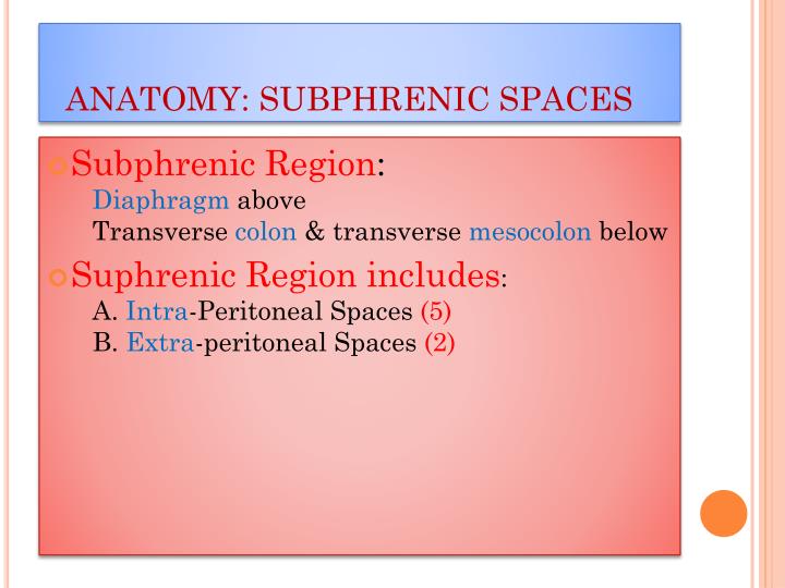 PPT - OMENTUM MESENTRY RETROPERITONEAL SPACE PowerPoint Presentation ...