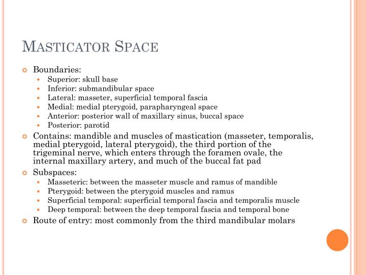 PPT - Anatomy of Head and Neck Infections PowerPoint Presentation - ID ...