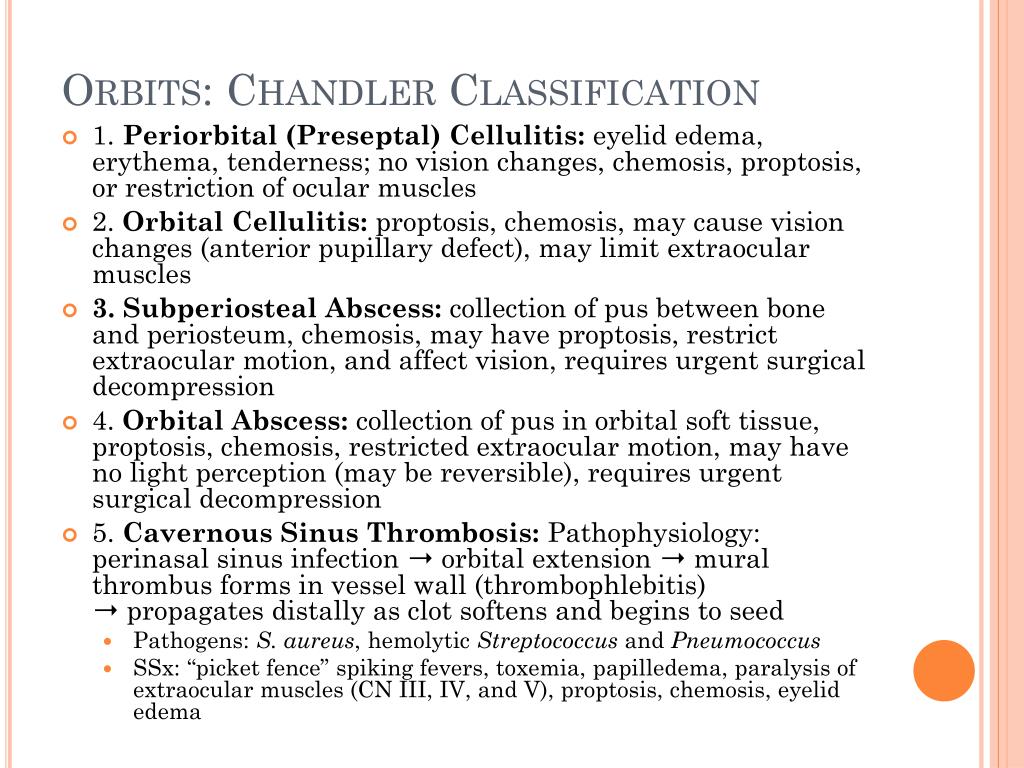 PPT - Anatomy of Head and Neck Infections PowerPoint Presentation, free ...