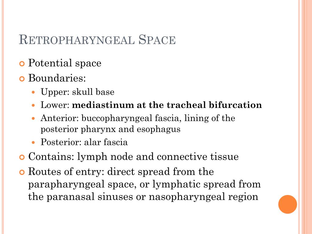 PPT - Anatomy of Head and Neck Infections PowerPoint Presentation, free ...