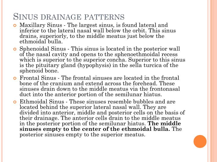 PPT - Anatomy of Head and Neck Infections PowerPoint Presentation - ID ...