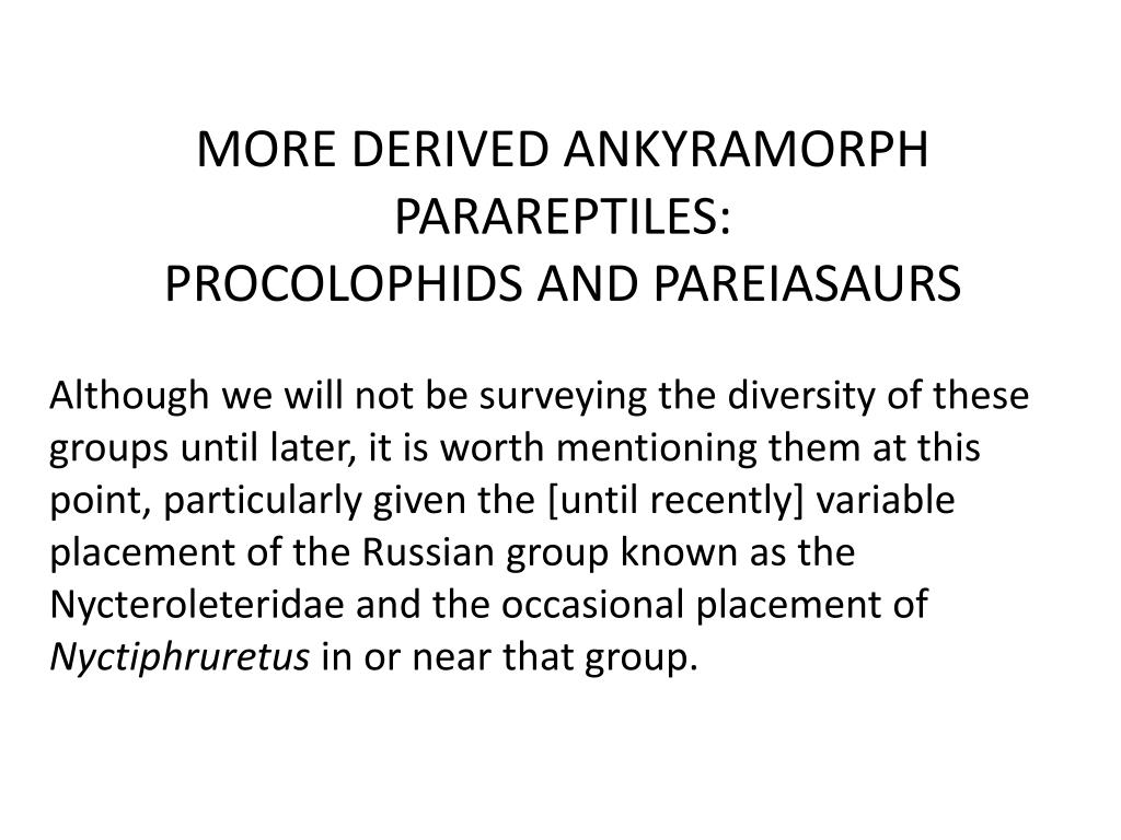 PPT - Basal Amniota - Nyctiphruretus, Bolosauridae, and More PowerPoint ...