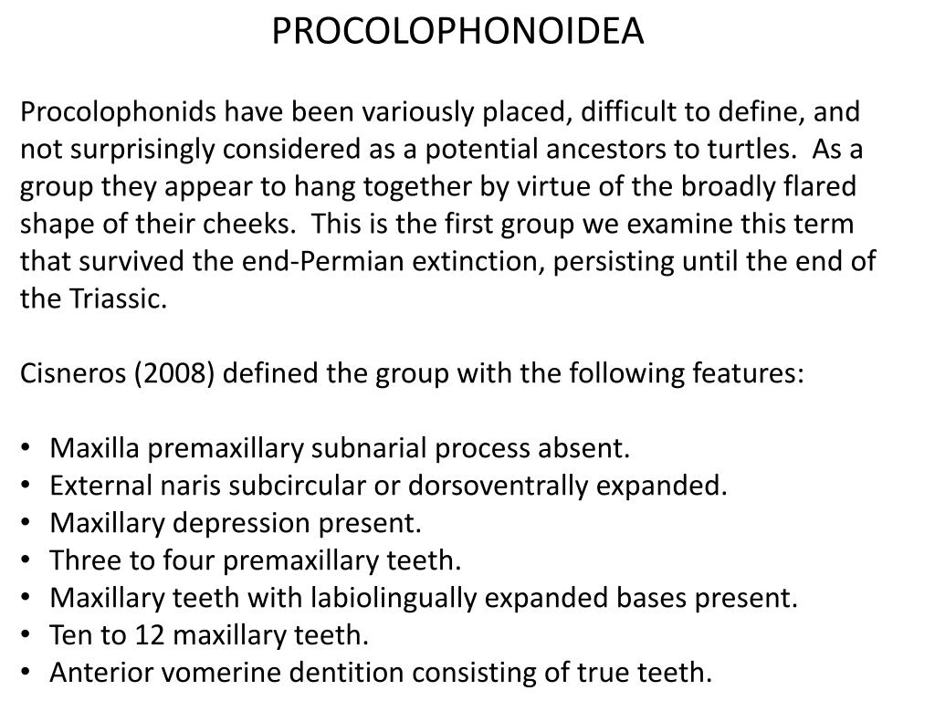 PPT - Basal Amniota - Nyctiphruretus, Bolosauridae, and More PowerPoint ...
