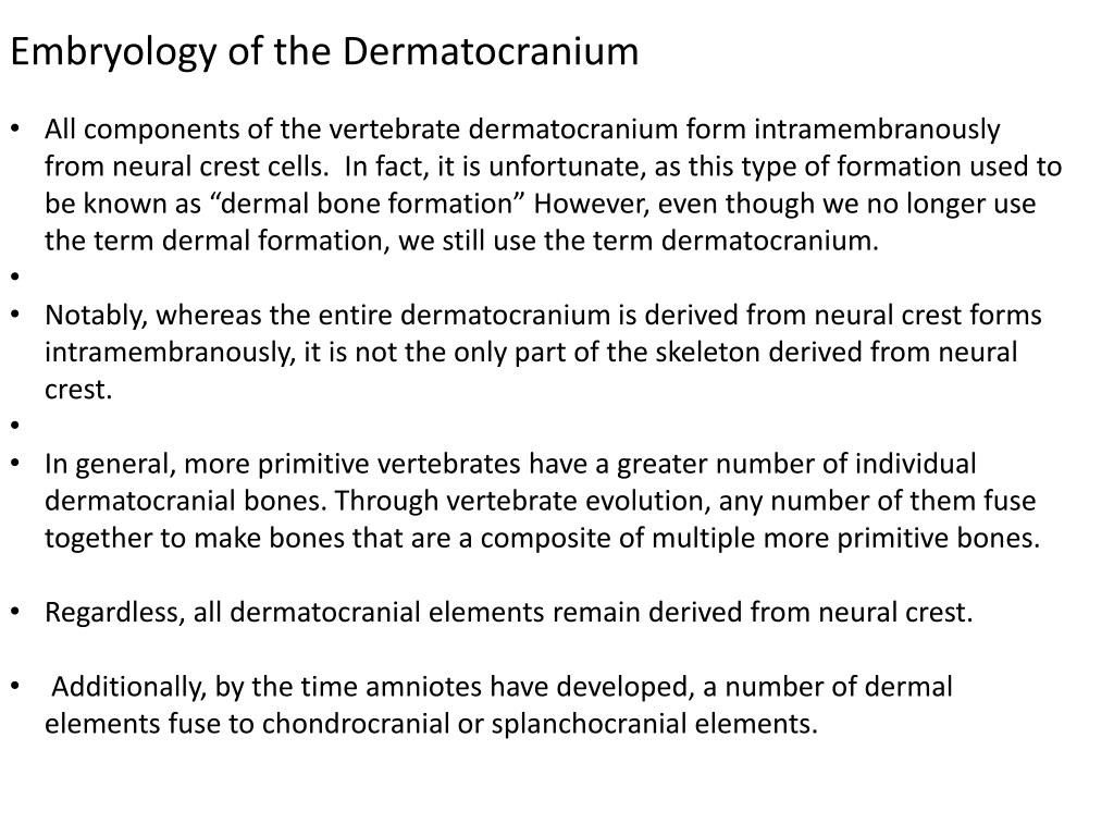 PPT - BIOLOGY 524 SKULL II DERMATOCRANIUM S. S. Sumida PowerPoint ...