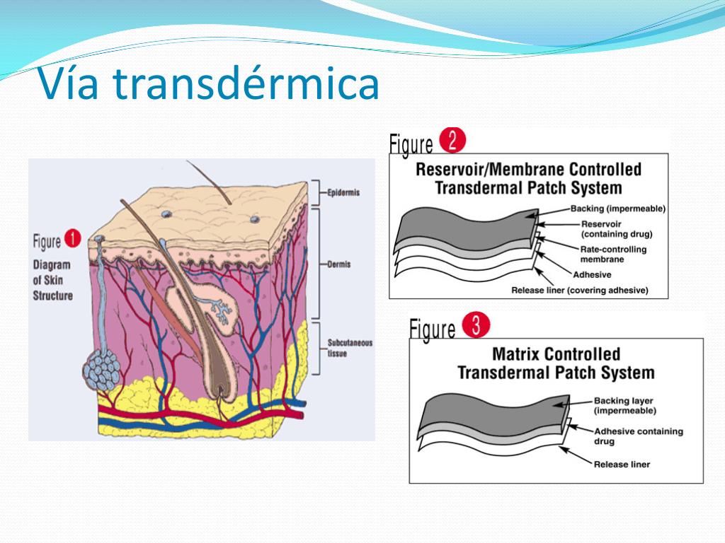 PPT - TRATAMIENTO FARMACOLÓGICO DEL DOLOR PowerPoint Presentation, free ...