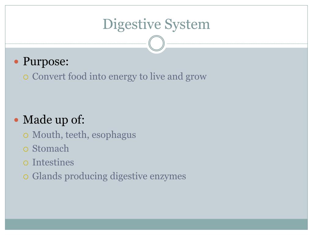 PPT - Animal Anatomy and Physiology PowerPoint Presentation, free ...