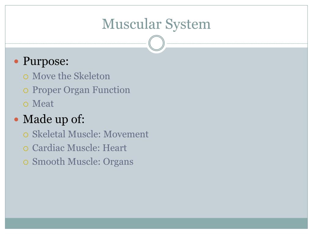 PPT - Animal Anatomy and Physiology PowerPoint Presentation, free ...