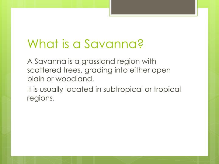 PPT - Savanna PowerPoint Presentation - ID:2283568