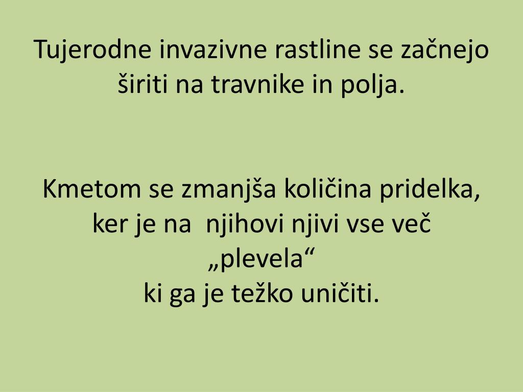 PPT - Invazivne tujerodne rastlinske vrste v TRZINU PowerPoint Presentation - ID:2284111