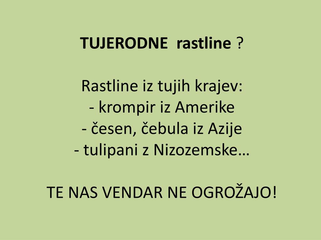 PPT - Invazivne tujerodne rastlinske vrste v TRZINU PowerPoint Presentation - ID:2284111