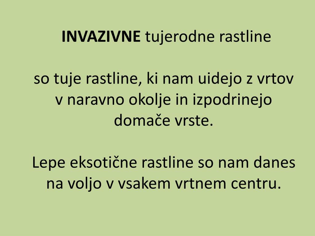 PPT - Invazivne tujerodne rastlinske vrste v TRZINU PowerPoint ...