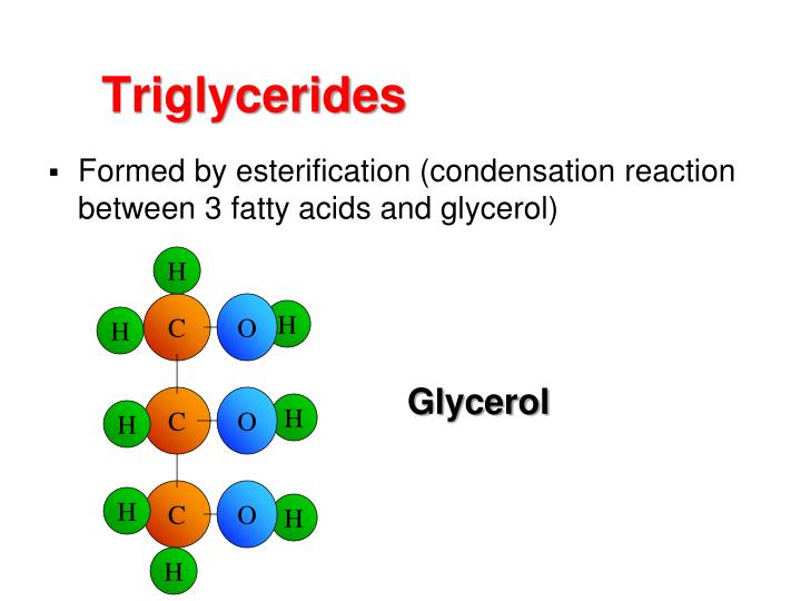 PPT - Lipids PowerPoint Presentation - ID:2284477