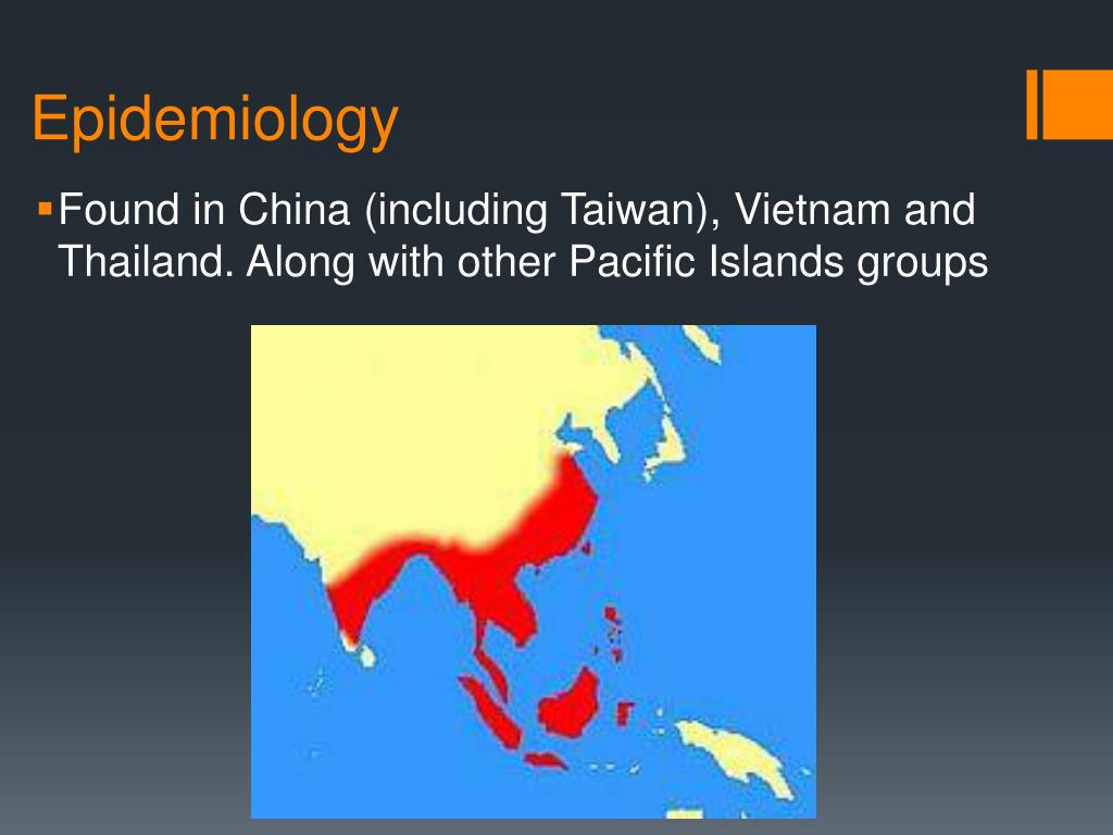 PPT - Parasites: -Giant Intestinal Fluke -Chinese Liver Fluke -Sheep ...
