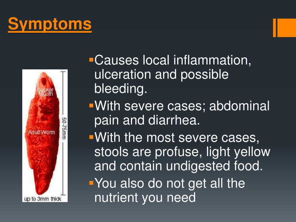 PPT - Parasites: -Giant Intestinal Fluke -Chinese Liver Fluke -Sheep ...