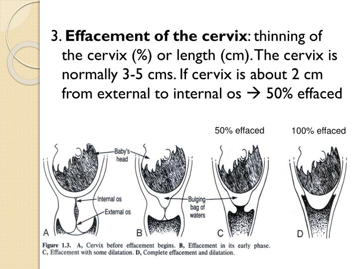 PPT - objectives PowerPoint Presentation - ID:2284569