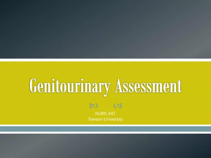 PPT - Genitourinary Assessment PowerPoint Presentation, free download ...