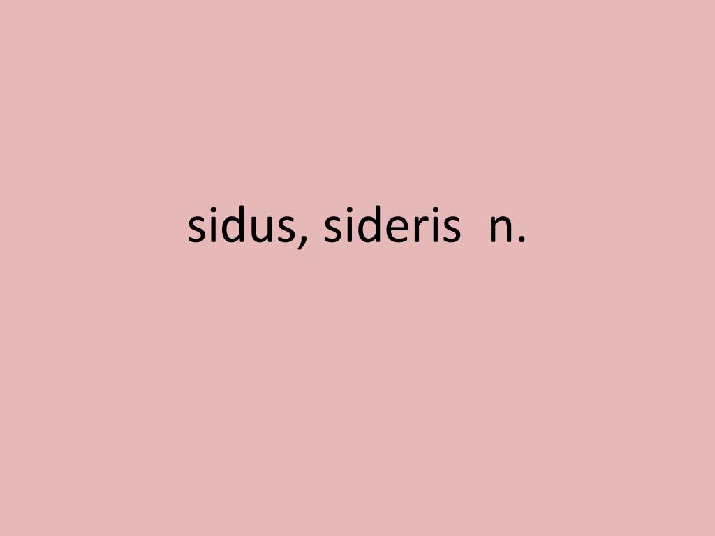 PPT - Caesar de bello Gallico VI. 14 noun s-adjectives PowerPoint ...