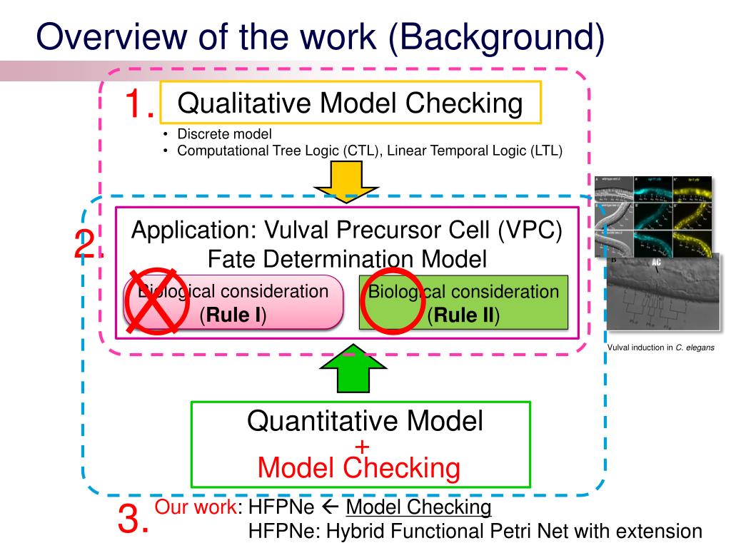 PPT - Chen LI Masao Nagasaki Kazuko Ueno Satoru Miyano PowerPoint ...