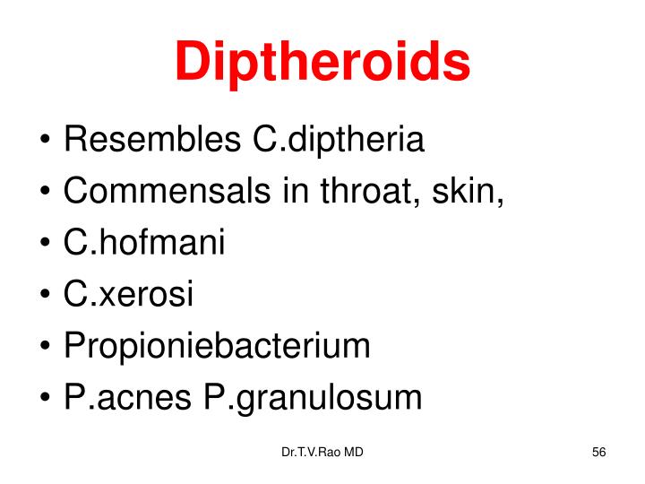 PPT - Diphtheria Corynebacterium diphtheria Kleb’s – Loffler's bacilli ...