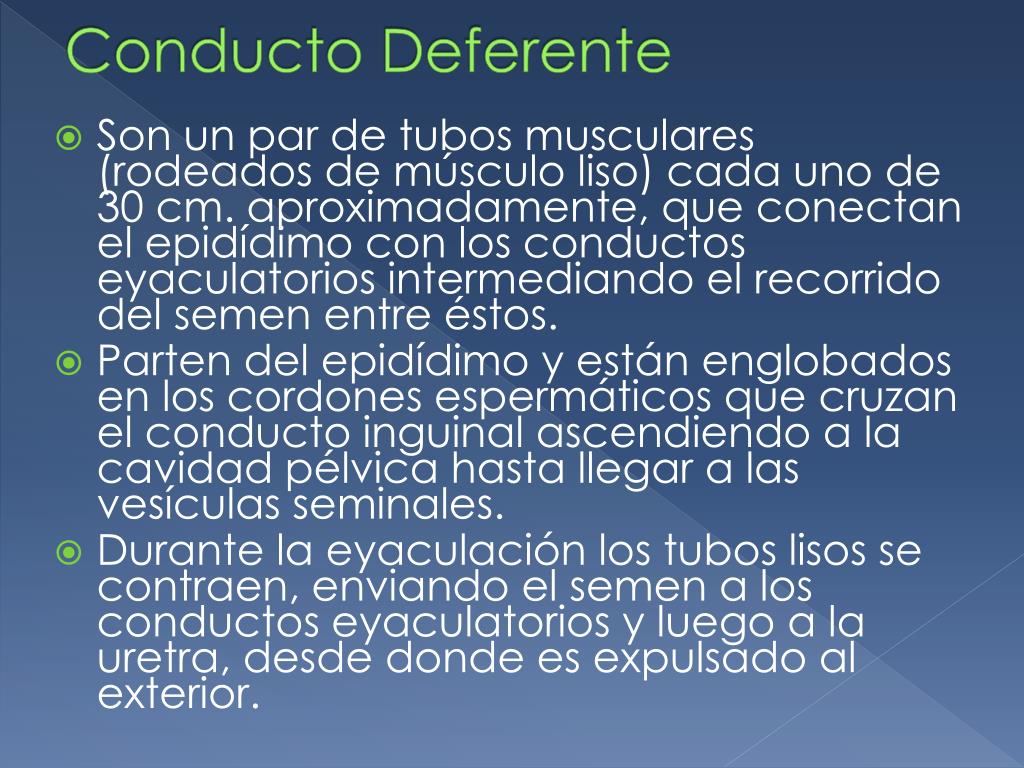 PPT - Sistemas reproductores PowerPoint Presentation, free download ...