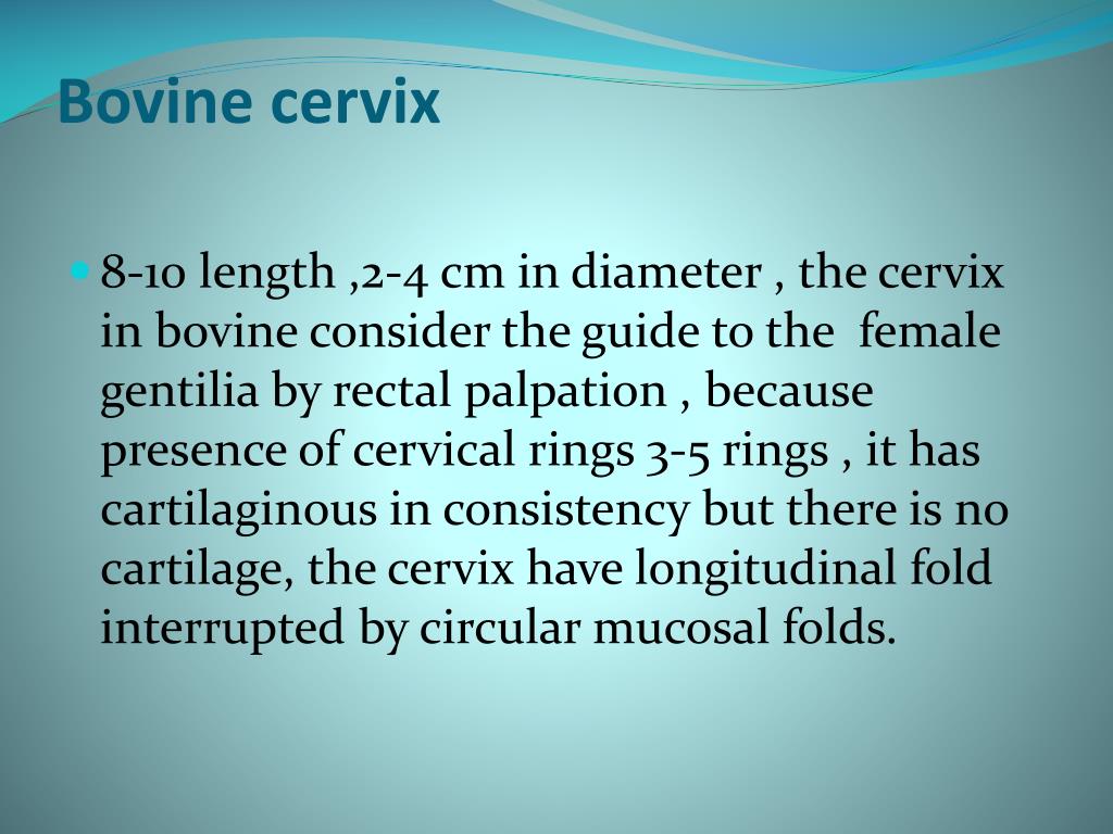 PPT - Kufa University Veterinary Medicine College PowerPoint ...