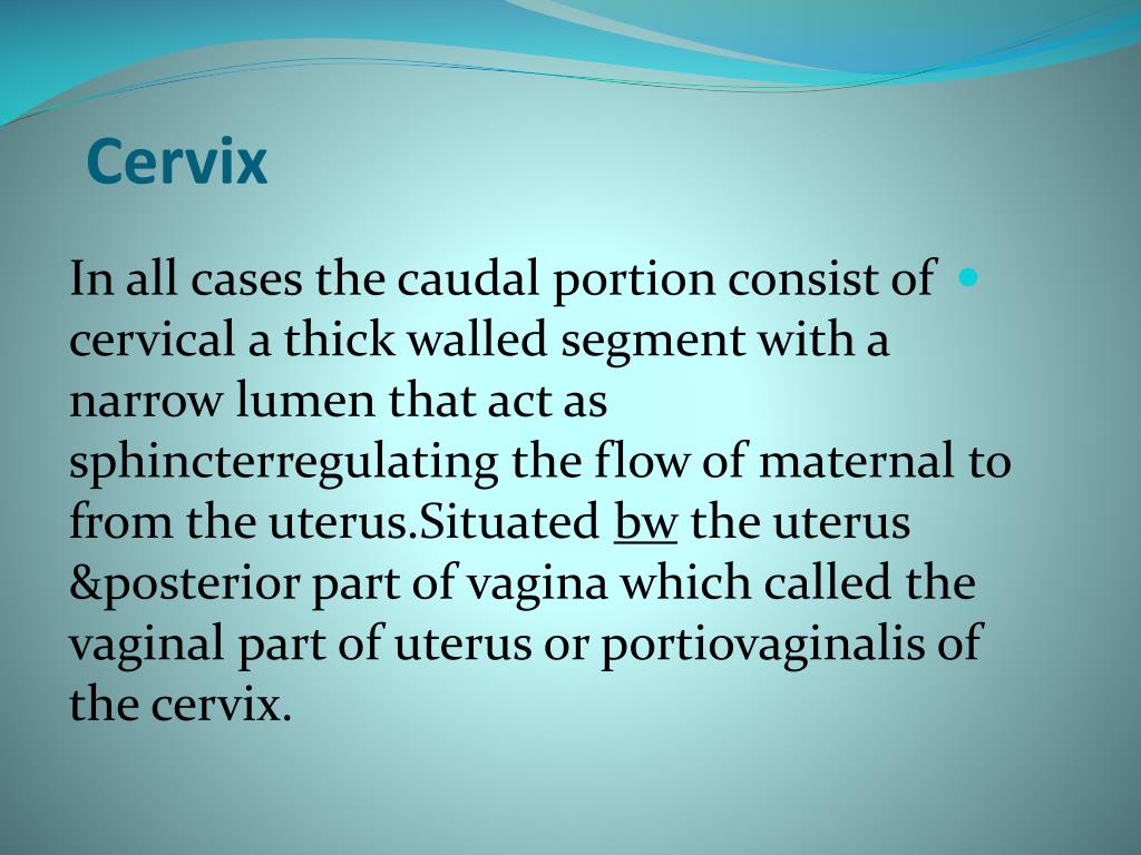PPT - Kufa University Veterinary Medicine College PowerPoint ...