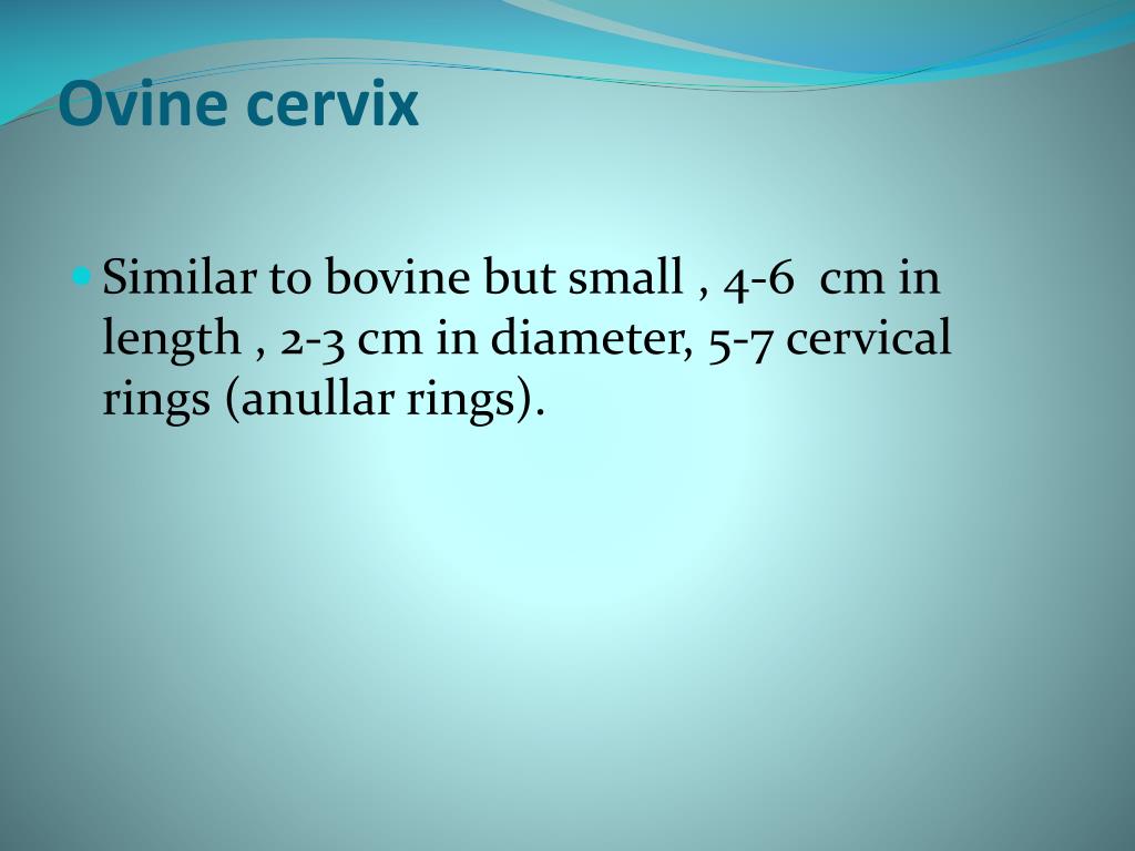 PPT - Kufa University Veterinary Medicine College PowerPoint ...