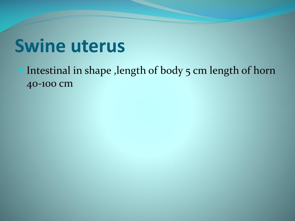 PPT - Kufa University Veterinary Medicine College PowerPoint ...