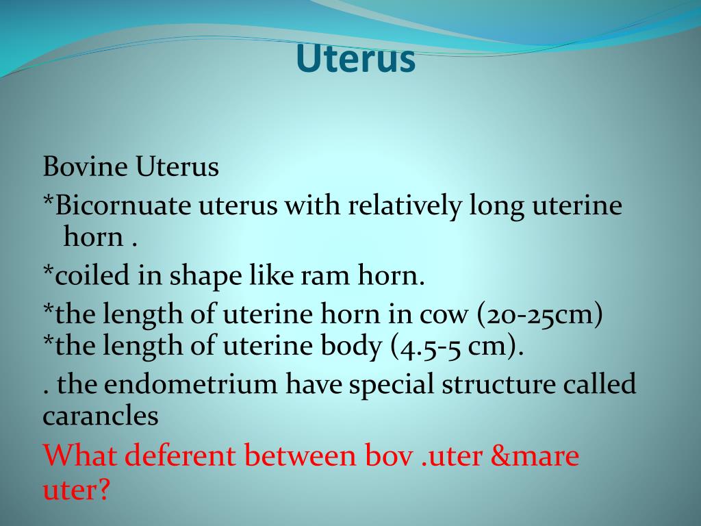 PPT - Kufa University Veterinary Medicine College PowerPoint ...