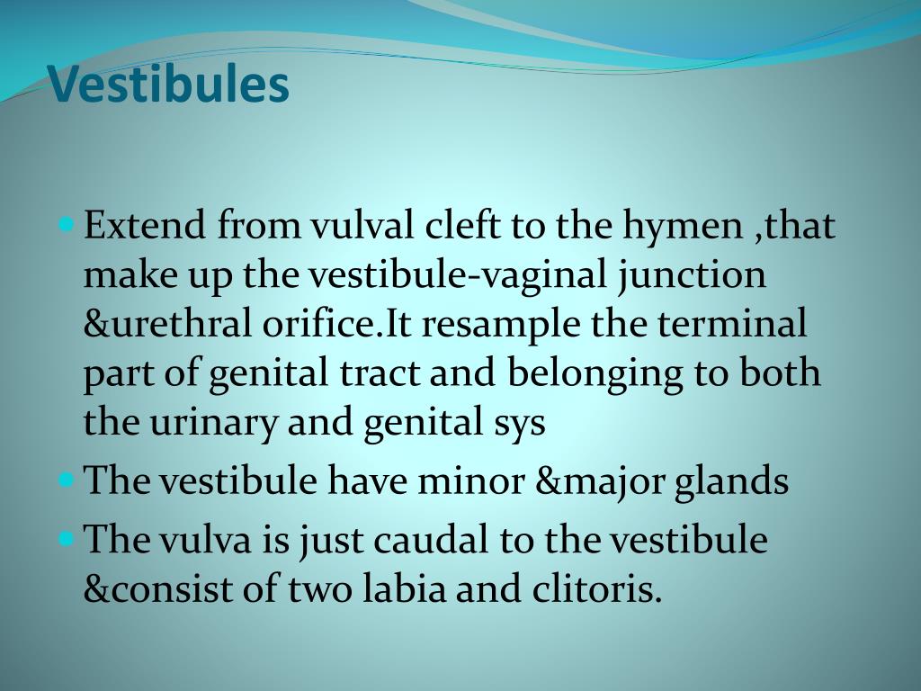 PPT - Kufa University Veterinary Medicine College PowerPoint ...