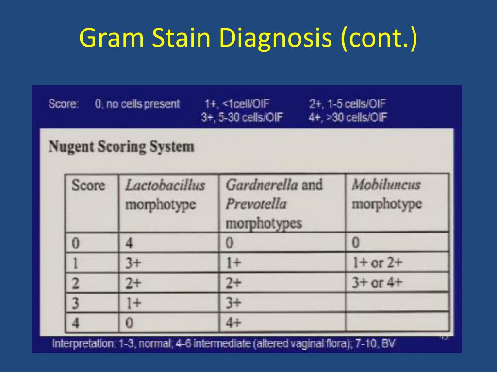 PPT - Candida infection T ricpmonas vaginalis Bacterial vaginosis ...