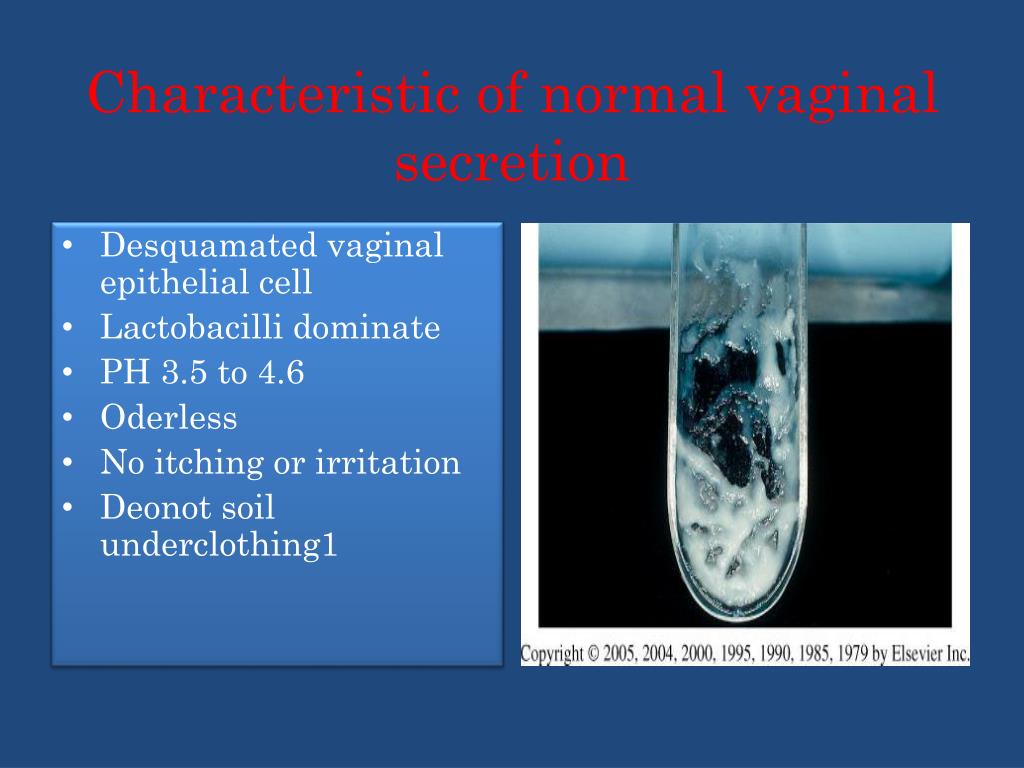 Candidiasis Vaginalis Ph Hot Sex Picture